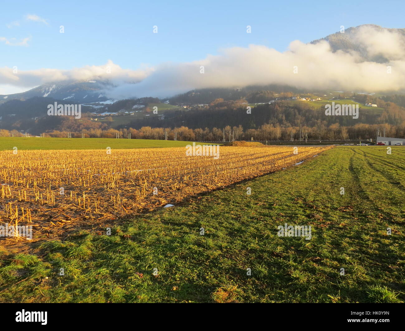 field, spring, idyll, meadow, scenery, countryside, nature, field, fog ...