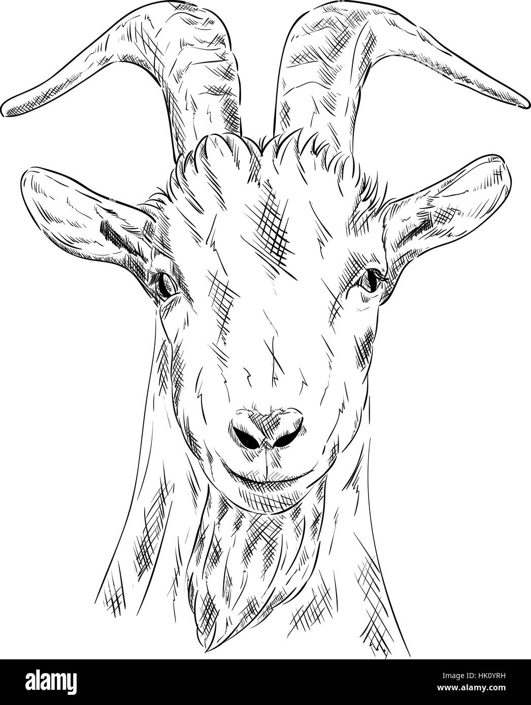 Black goat black background Black and White Stock Photos & Images - Alamy