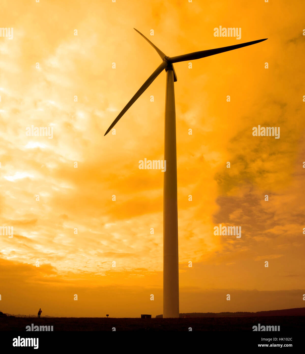 woman, agriculture, farming, energy, power, electricity, electric power ...