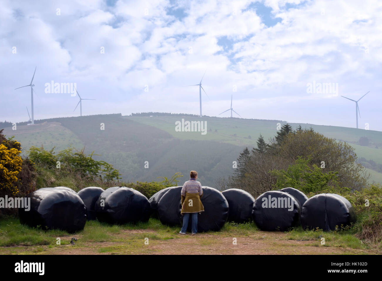 woman, agriculture, farming, energy, power, electricity, electric power ...