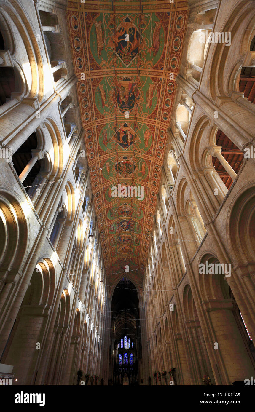 Ely cathedral nave painted ceiling hi-res stock photography and images ...