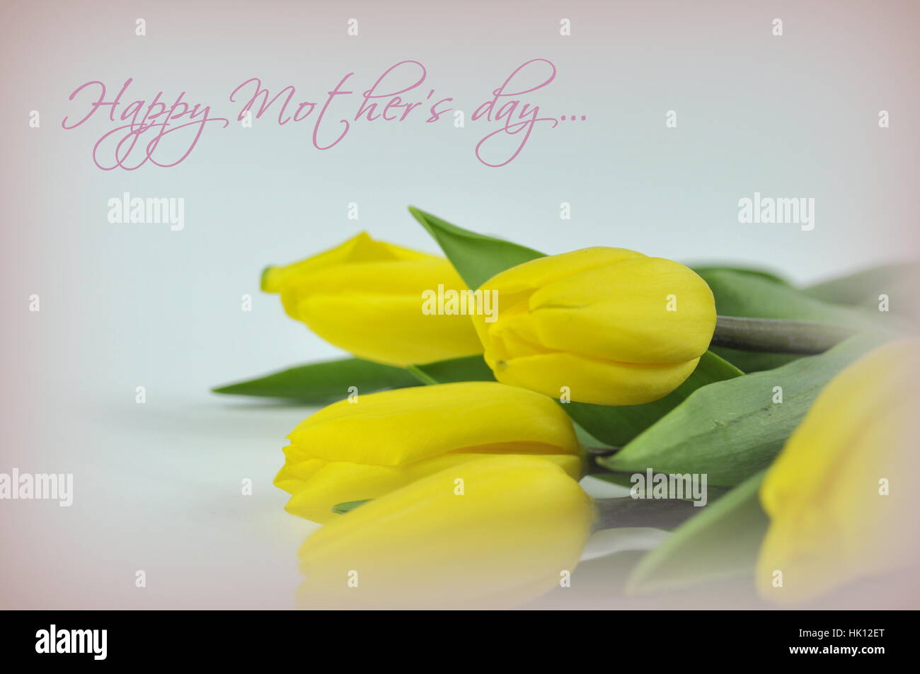 bloom, blossom, flourish, flourishing, flower, flowers, plant, spring ...