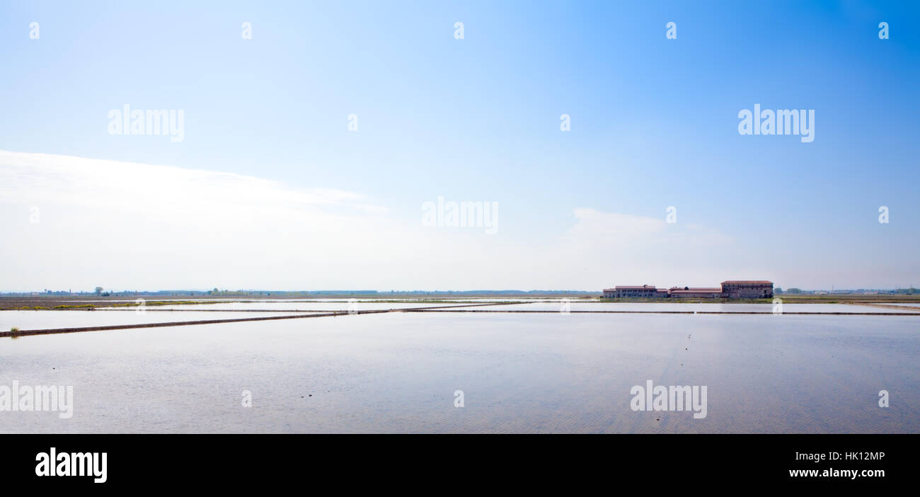 food, aliment, agriculture, farming, field, farm, landscape, scenery ...