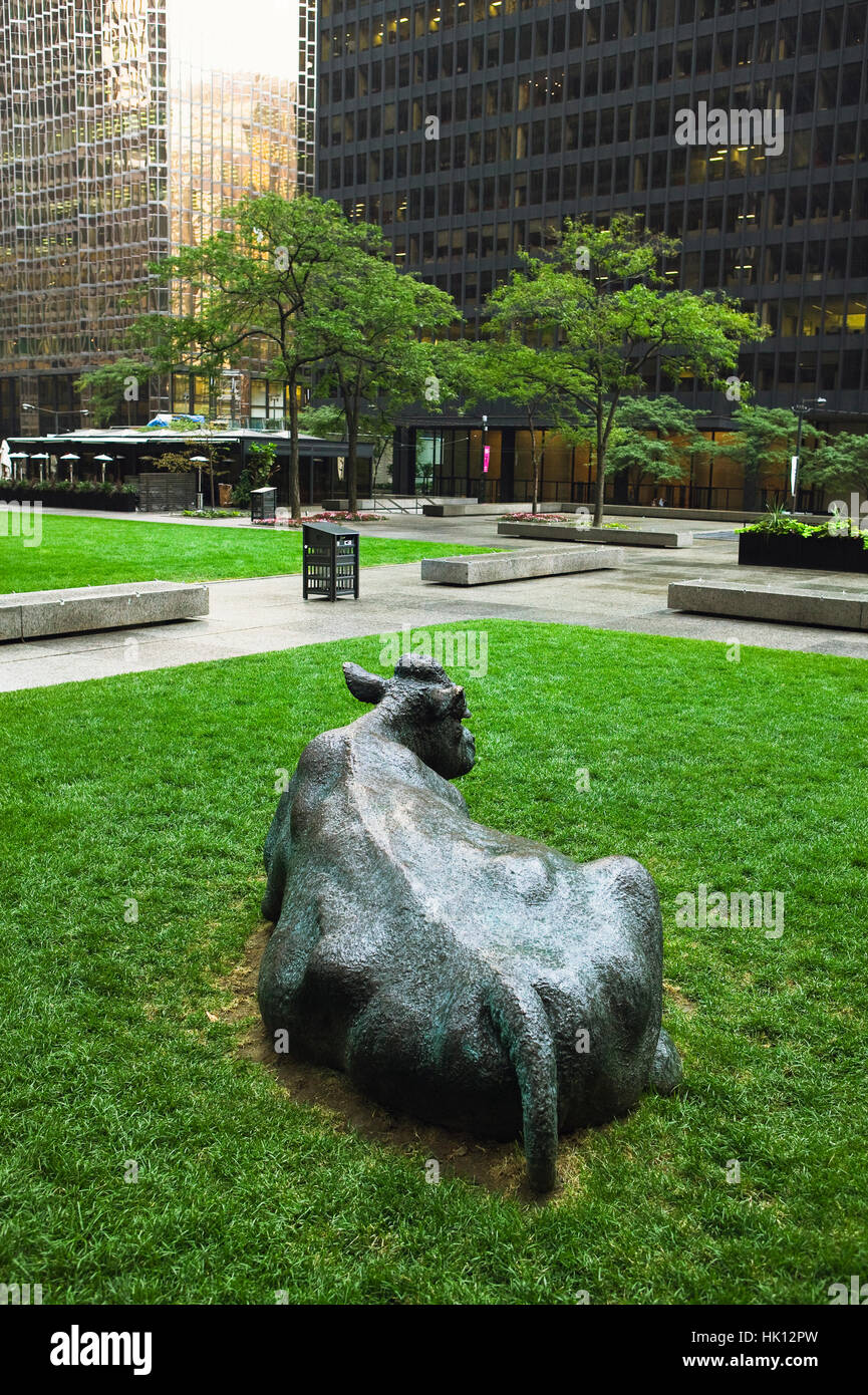 Statue of cow laying down in Toronto Dominion Square in Toronto Ontario ...