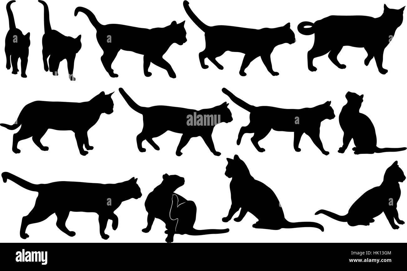 Different cats sitting Stock Vector Images - Alamy