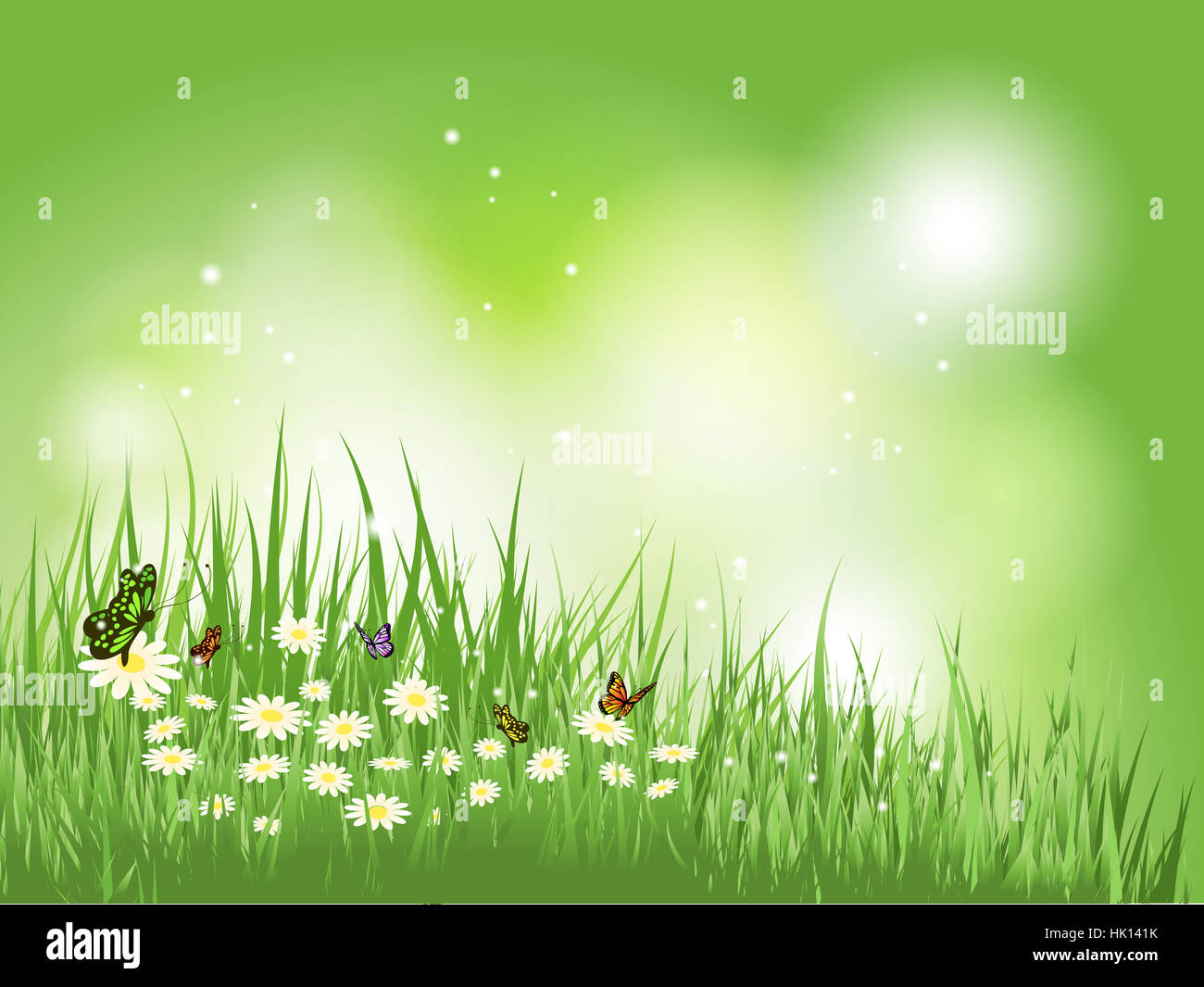 leaf, insect, butterfly, sunset, sunrise, spring, bouncing, bounces ...