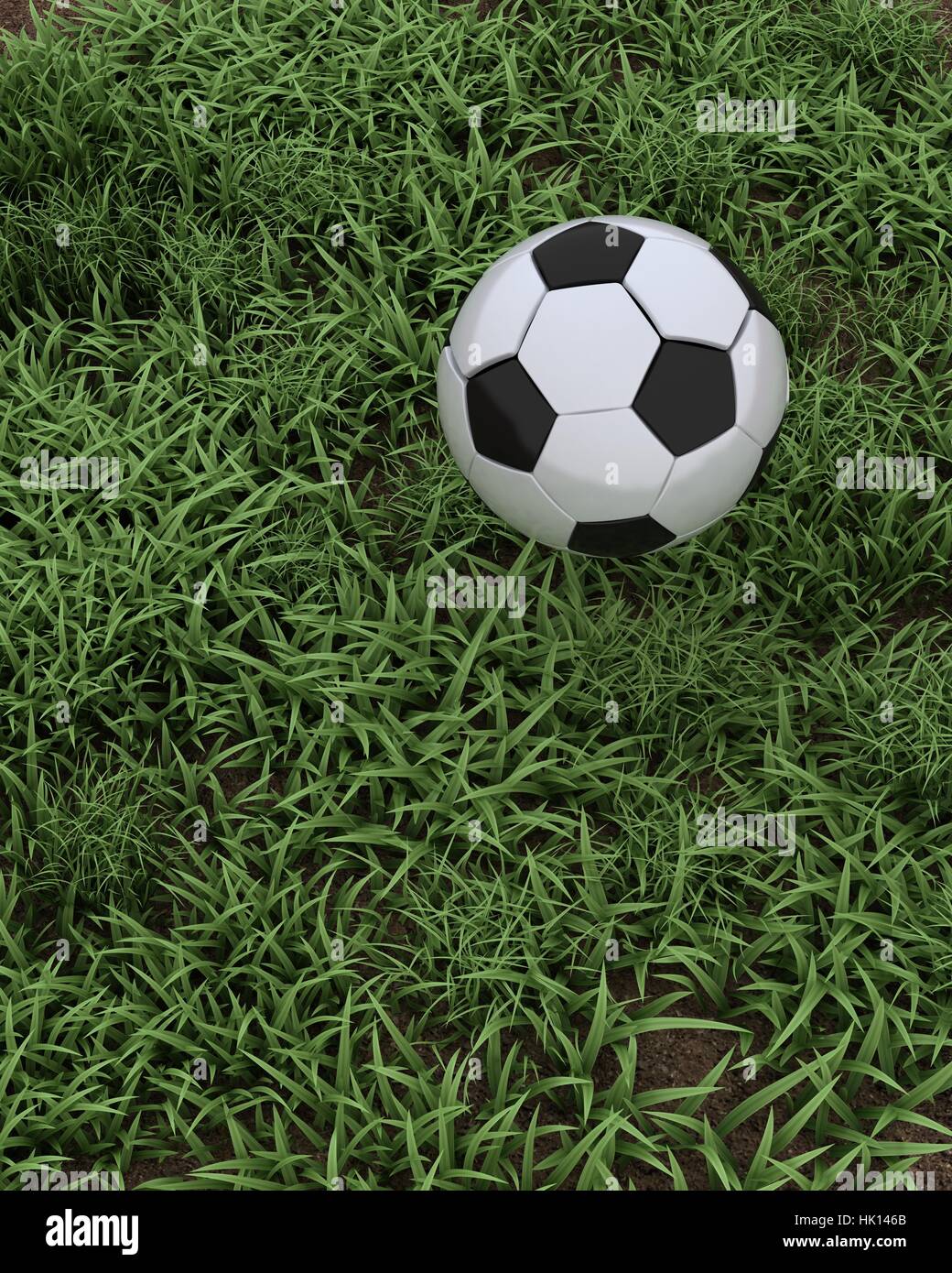 sport, sports, game, tournament, play, playing, plays, played, ball ...