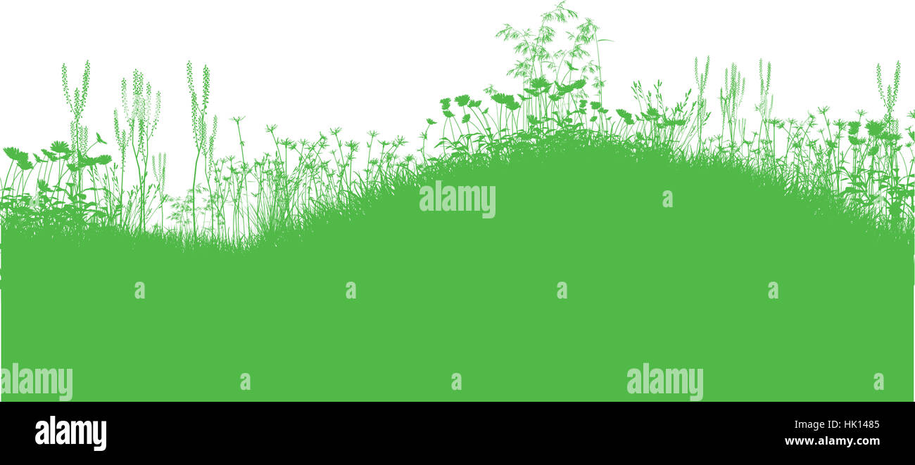 eco, field, flower, flowers, plant, illustration, landscape, scenery ...