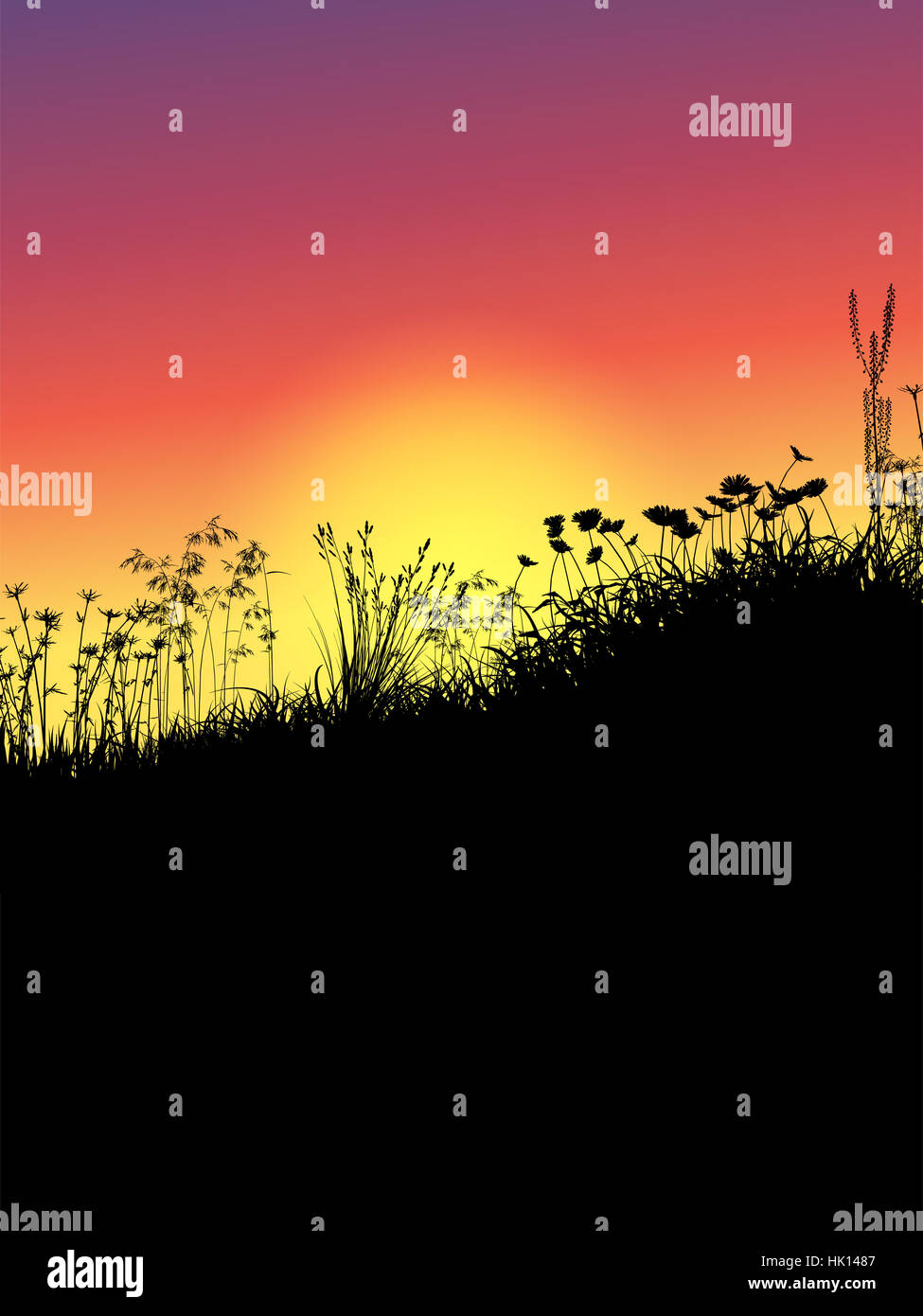 sunset, field, flower, flowers, plant, illustration, landscape, scenery ...