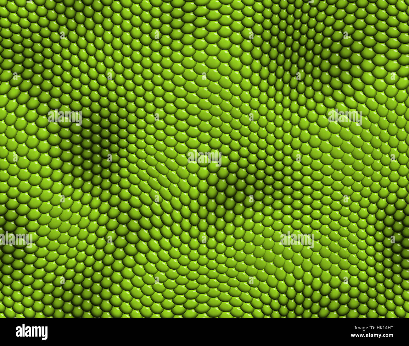 animal, reptile, lizard, skin, illustration, scales, seamless, textured ...