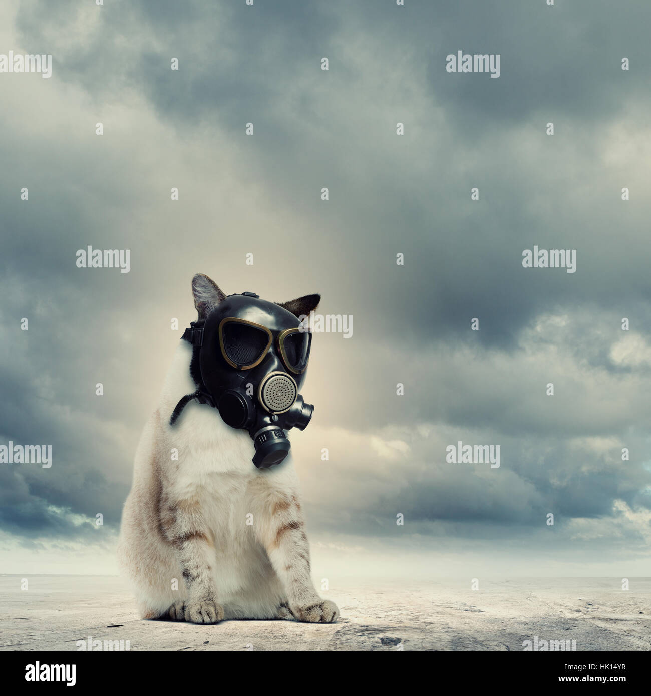 Gas mask respirator icon hi-res stock photography and images - Alamy