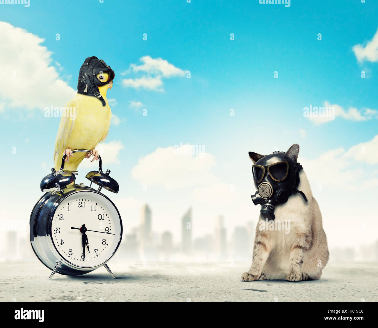 Cat and parrot in gas masks. Ecology concept Stock Photo - Alamy