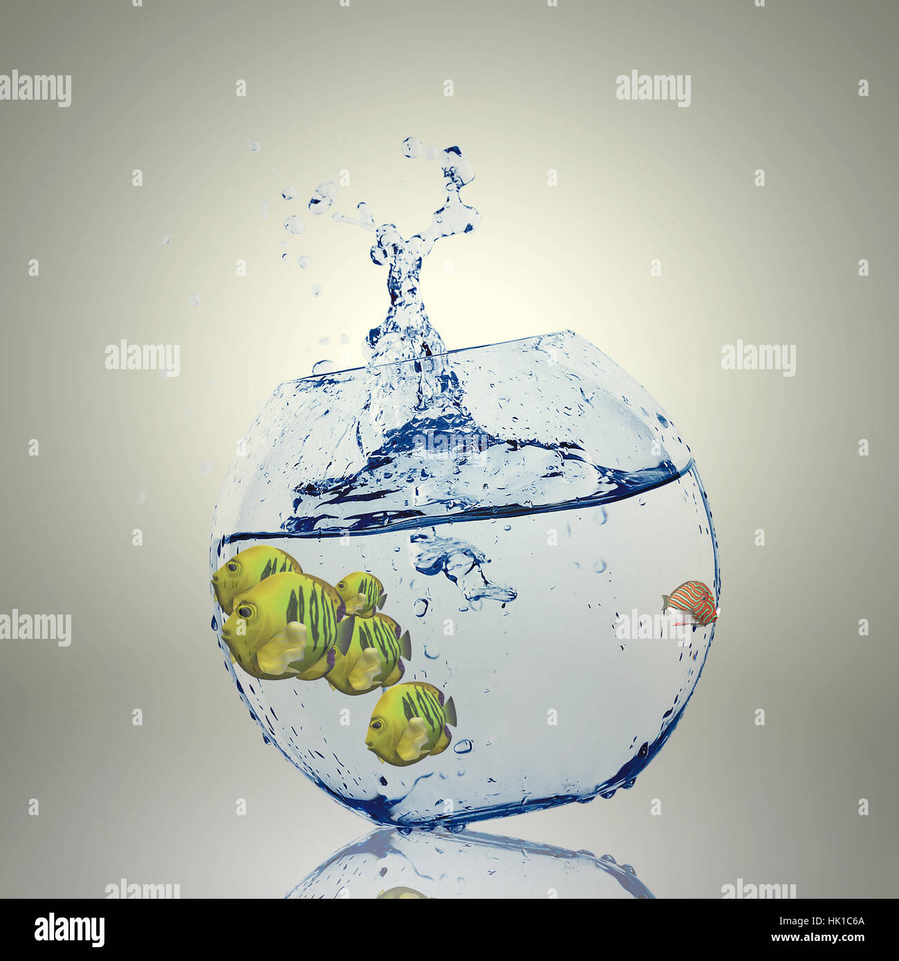 Exotic fish in round aquarium with clear blue water Stock Photo - Alamy