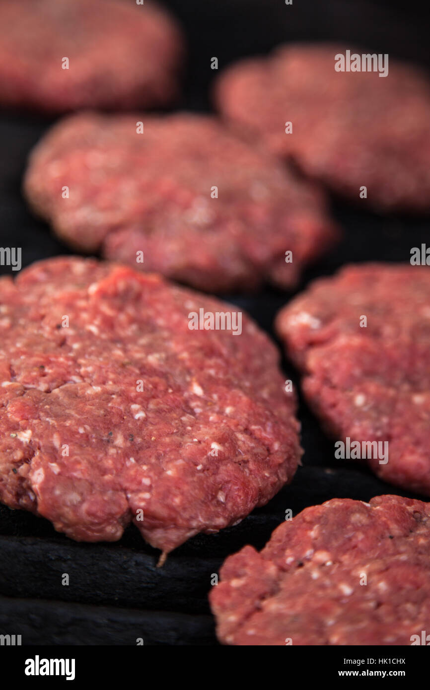 food, aliment, ground, soil, earth, humus, raw, dish, meal, grill ...