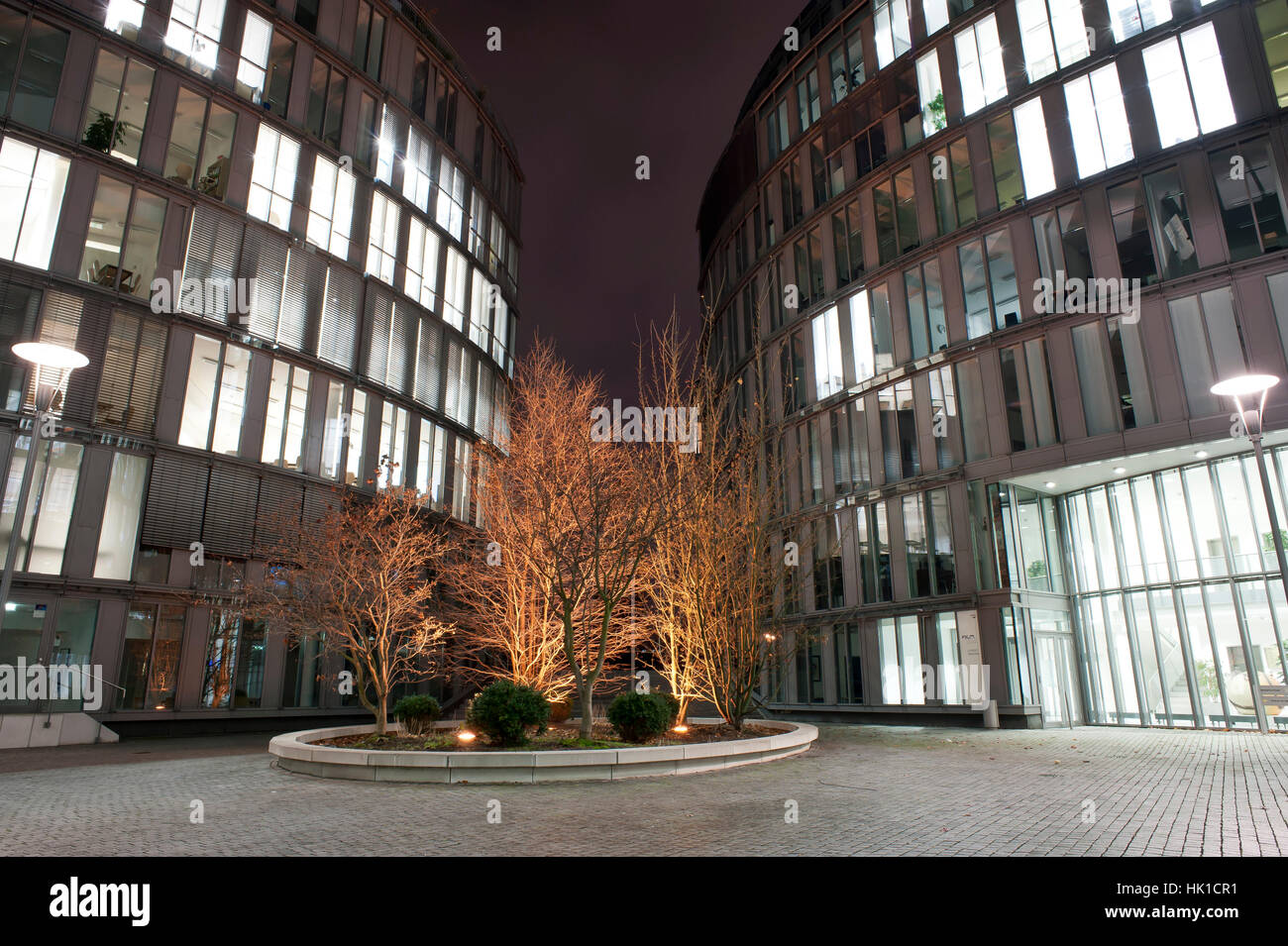 office, tree, trees, cologne, night, nighttime, lighted, yard ...