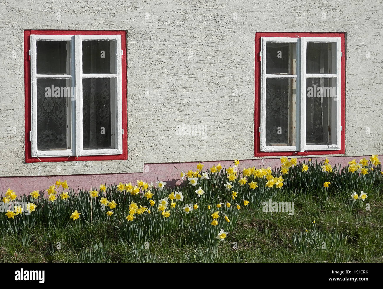 spring, daffodils, window, meadow, arrangement, environment, enviroment ...