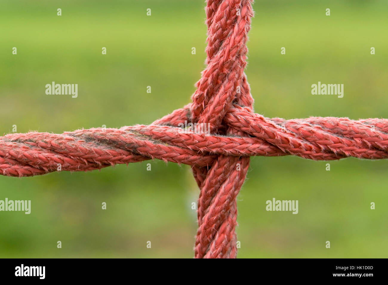 detail of crossed red ropes in green back Stock Photo - Alamy