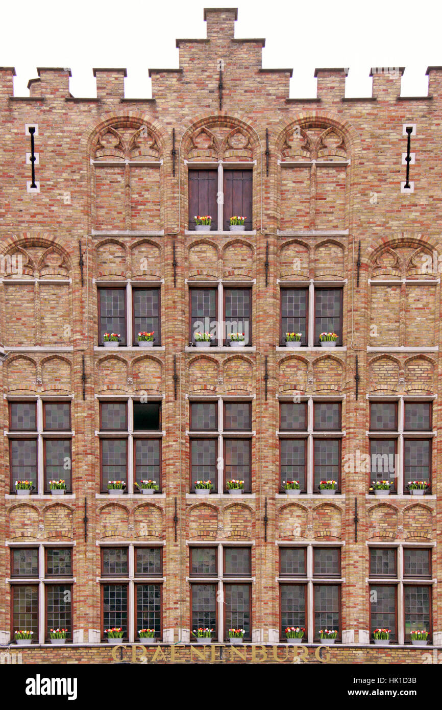 window, porthole, dormer window, pane, tulips, flanders, bruges, weekly ...