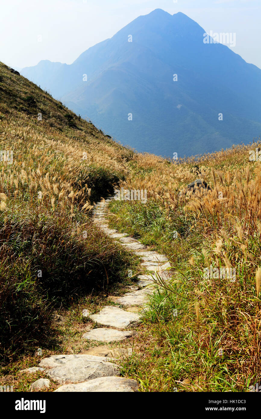 walk, go, going, walking, hill, stone, field, hike, go hiking, ramble ...