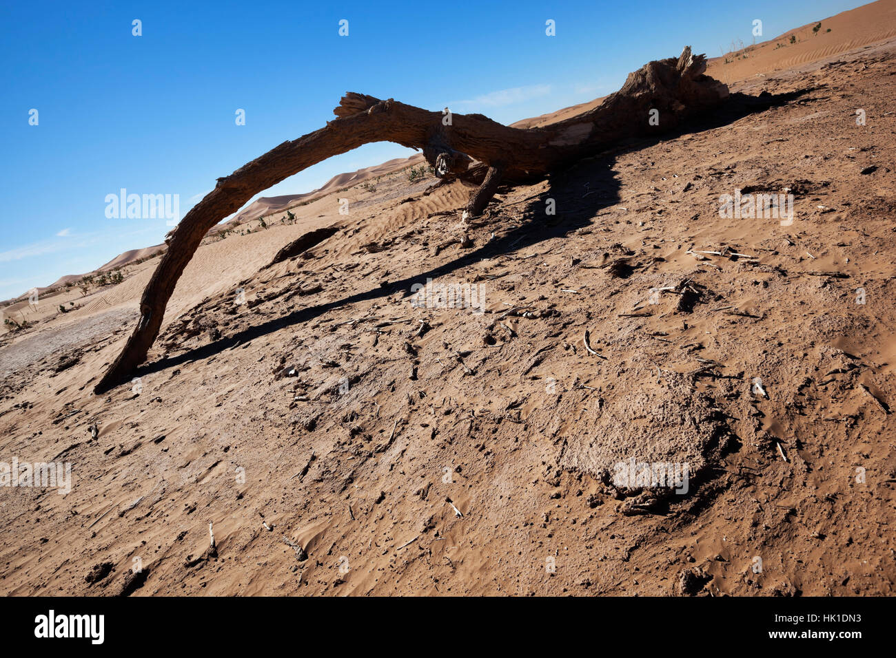 desert, wasteland, africa, morocco, nature, environment, enviroment ...