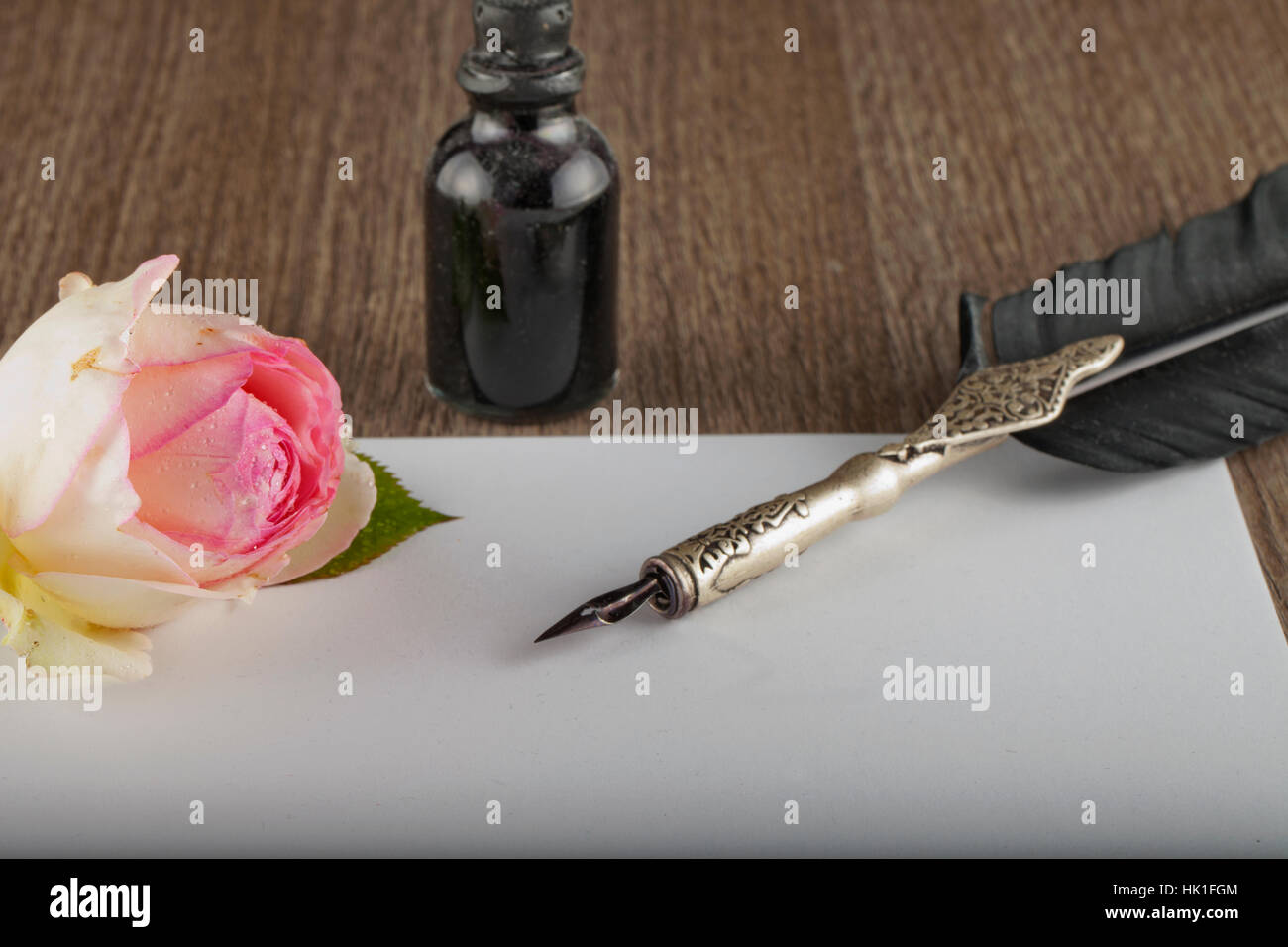 write, wrote, writing, writes, flower, plant, rose, romantic, wedding ...