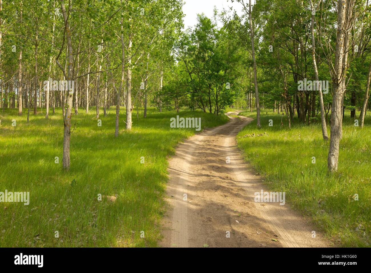 field, spring, dirt, road, path, way, meadow, street, lawn, green ...