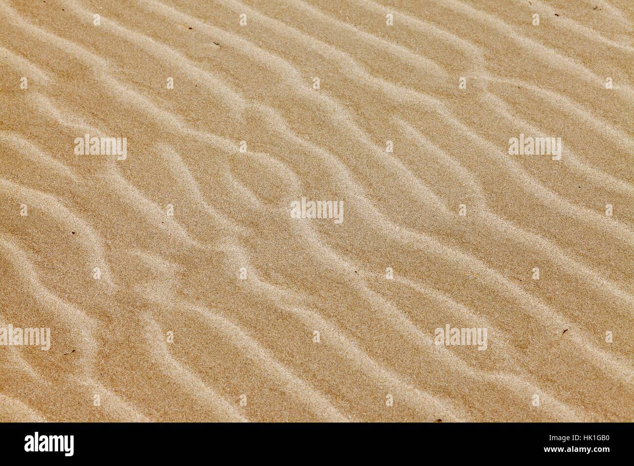 beach, seaside, the beach, seashore, soft, surface, dune, smooth, sandy ...