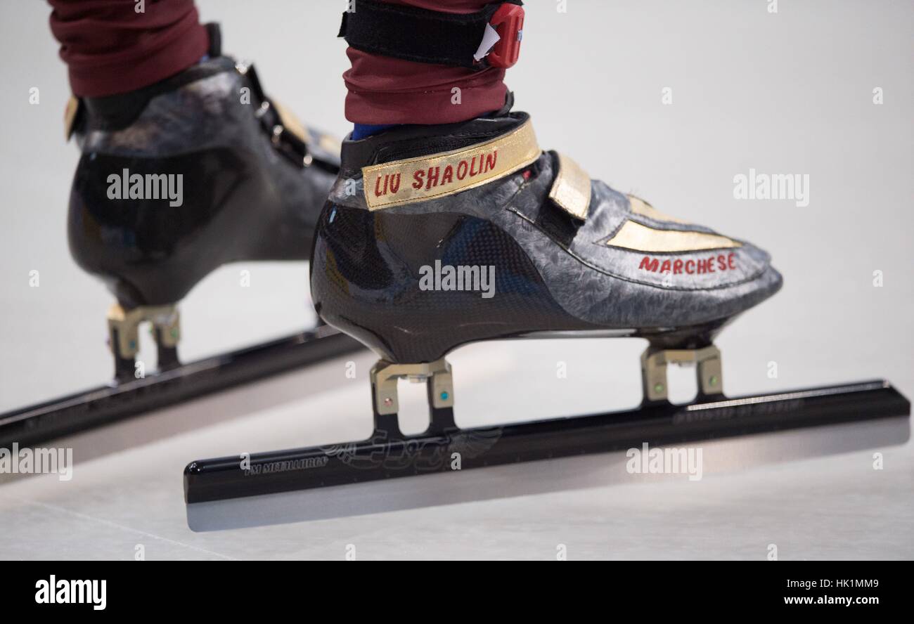 Dresden, Germany. 04th Feb, 2017. Hungarian skater Sandor Liu Shaolin ...