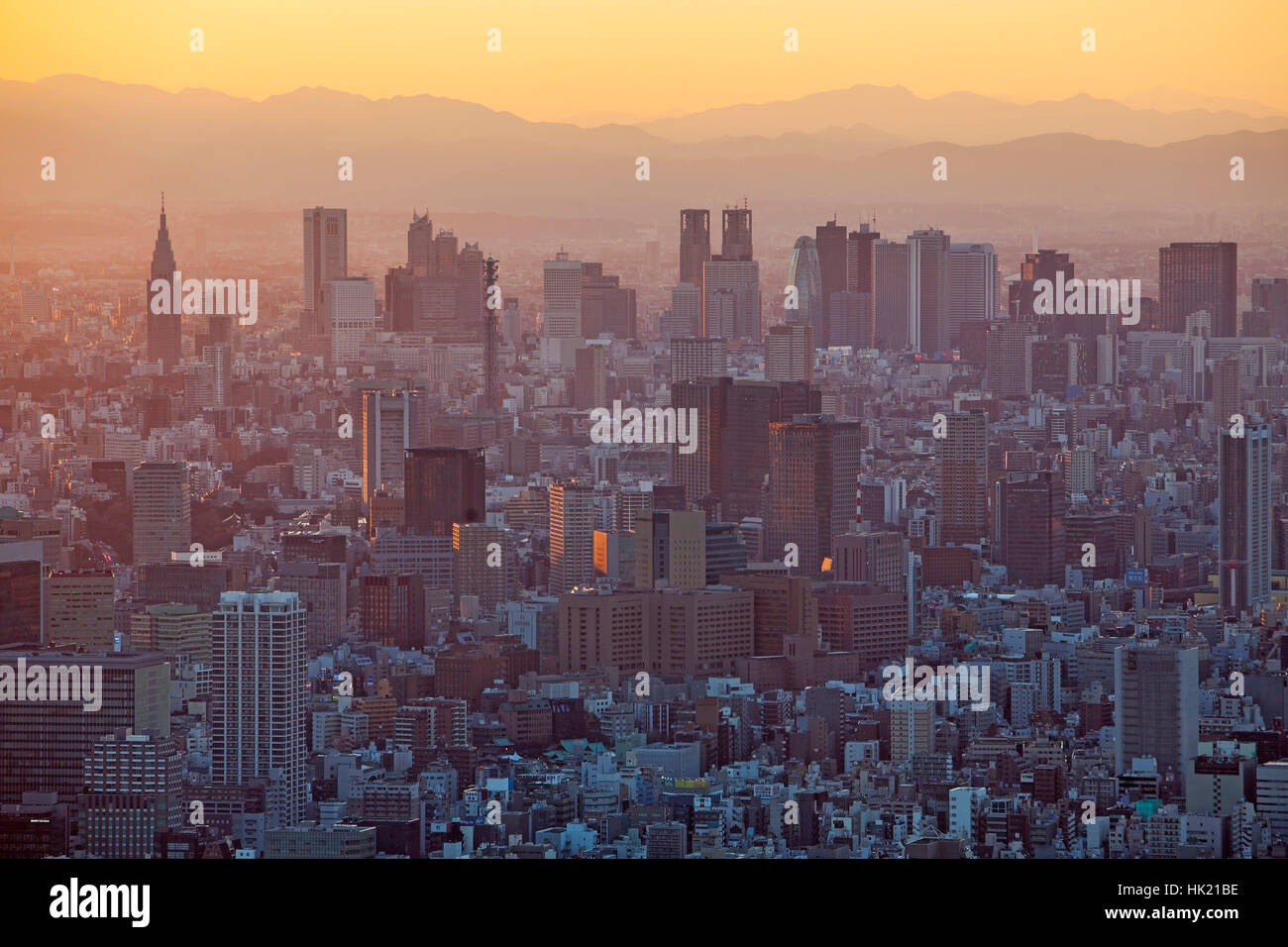 Townscape, skyline of Shinjuku, Tokyo, Japan Stock Photo - Alamy
