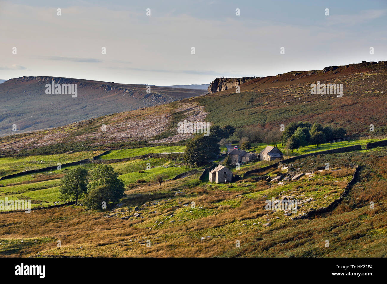 Callow hi-res stock photography and images - Alamy