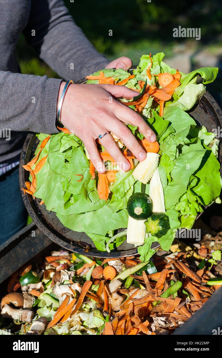 Composting the Kitchen Waste in a plastic compost bin Stock Photo - Alamy