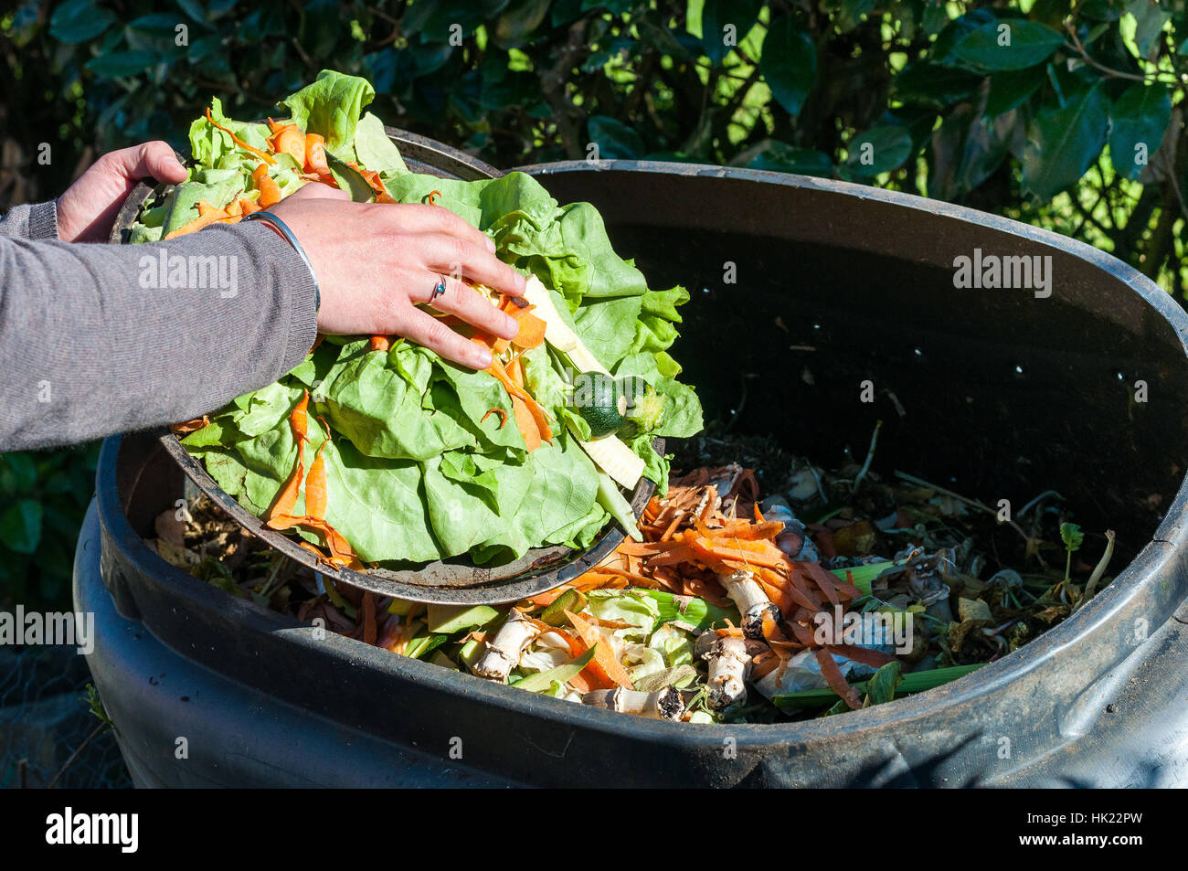 Ménagére déposant ses épluchures de fruits et légumes dans le bac à ...