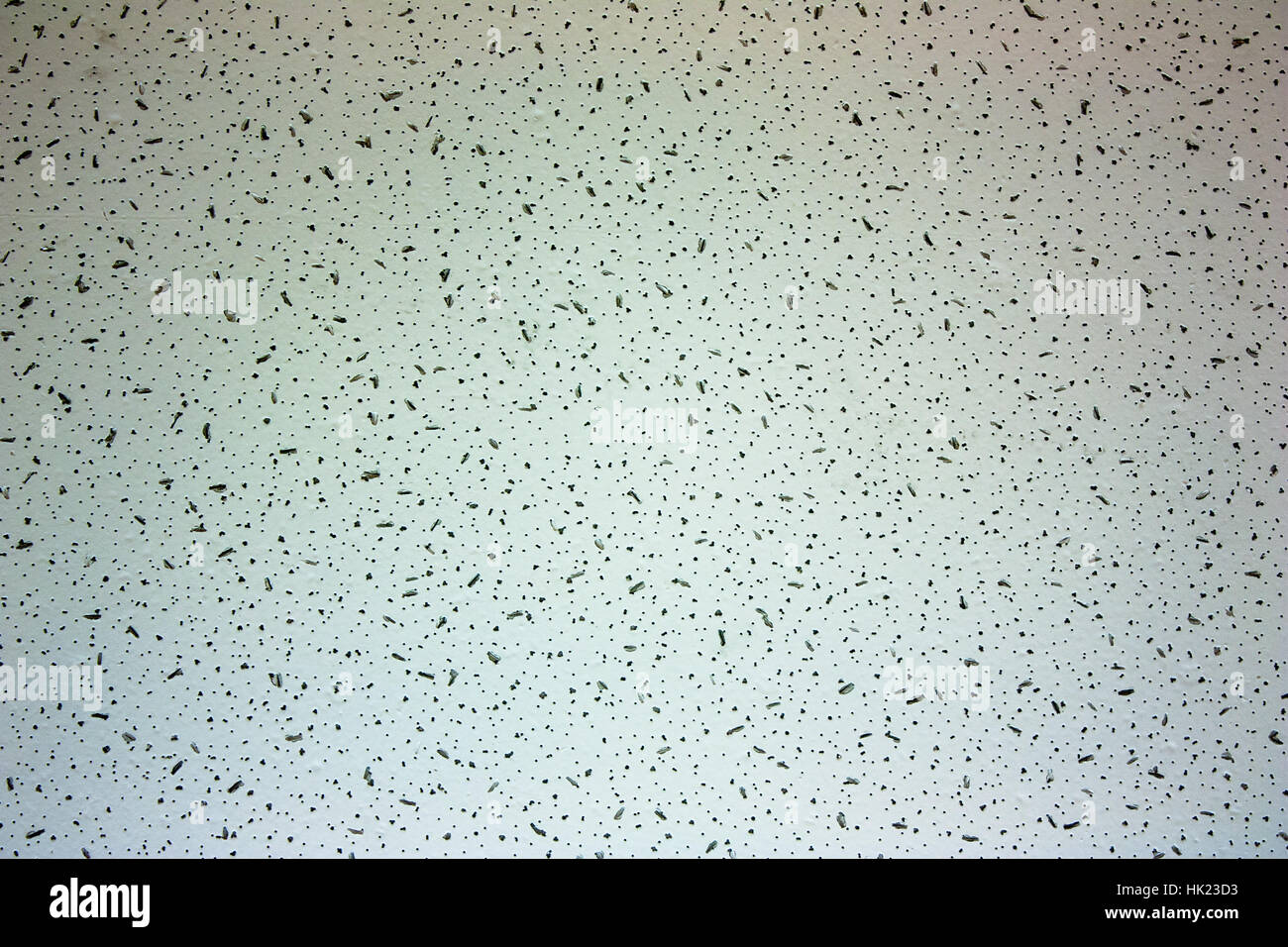 Beautiful Nice Perforated Gypsum Board White Background Stock Photo - Alamy