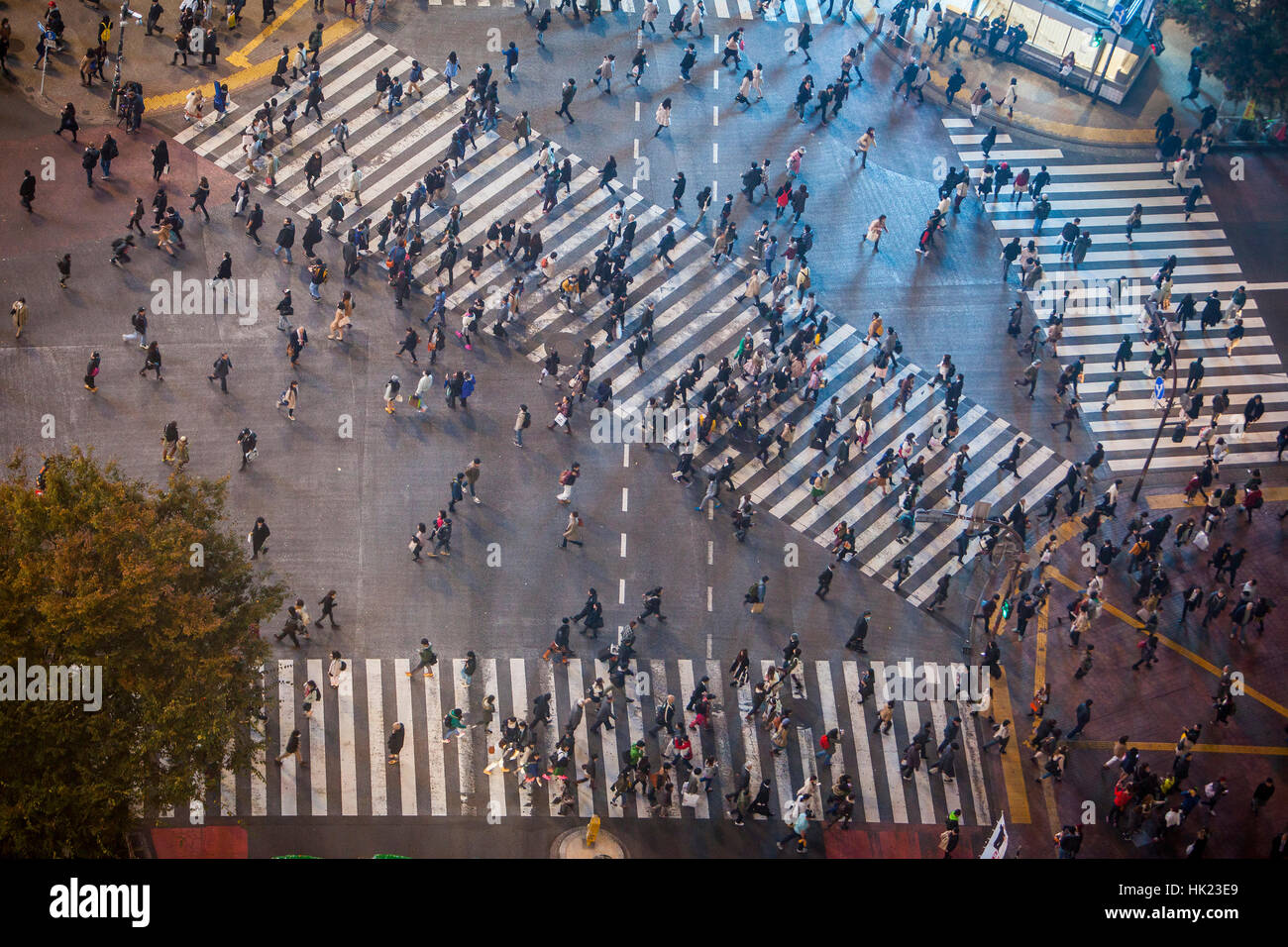 Townscape, Shibuya Scramble Kousaten crossing in Hachiko square, Tokyo ...