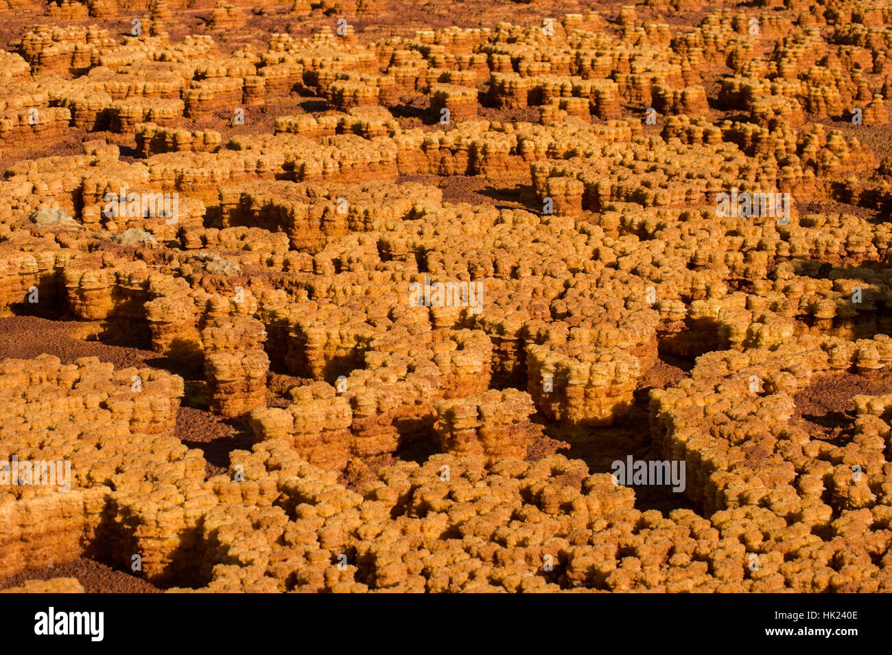 Striking colours afar region hi-res stock photography and images - Alamy