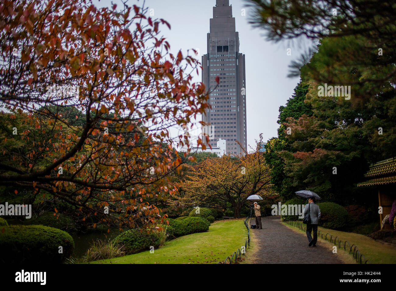 Tokyo Japan Shinjuku Cityscape Skyline Ntt Building Skyscraper High ...