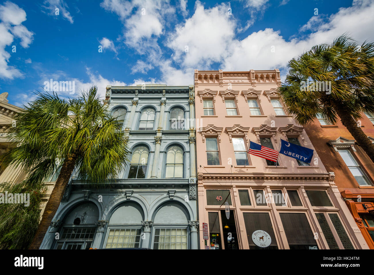 Buildings and palm trees along Broad Street, in Charleston, South ...
