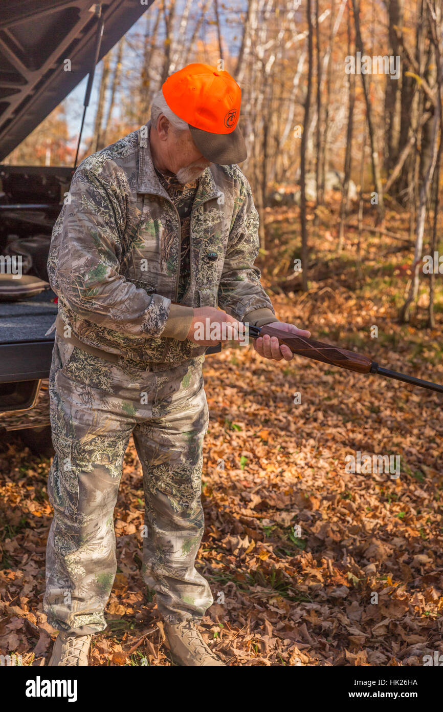 Ruffed grouse hunting in autumn Stock Photo - Alamy