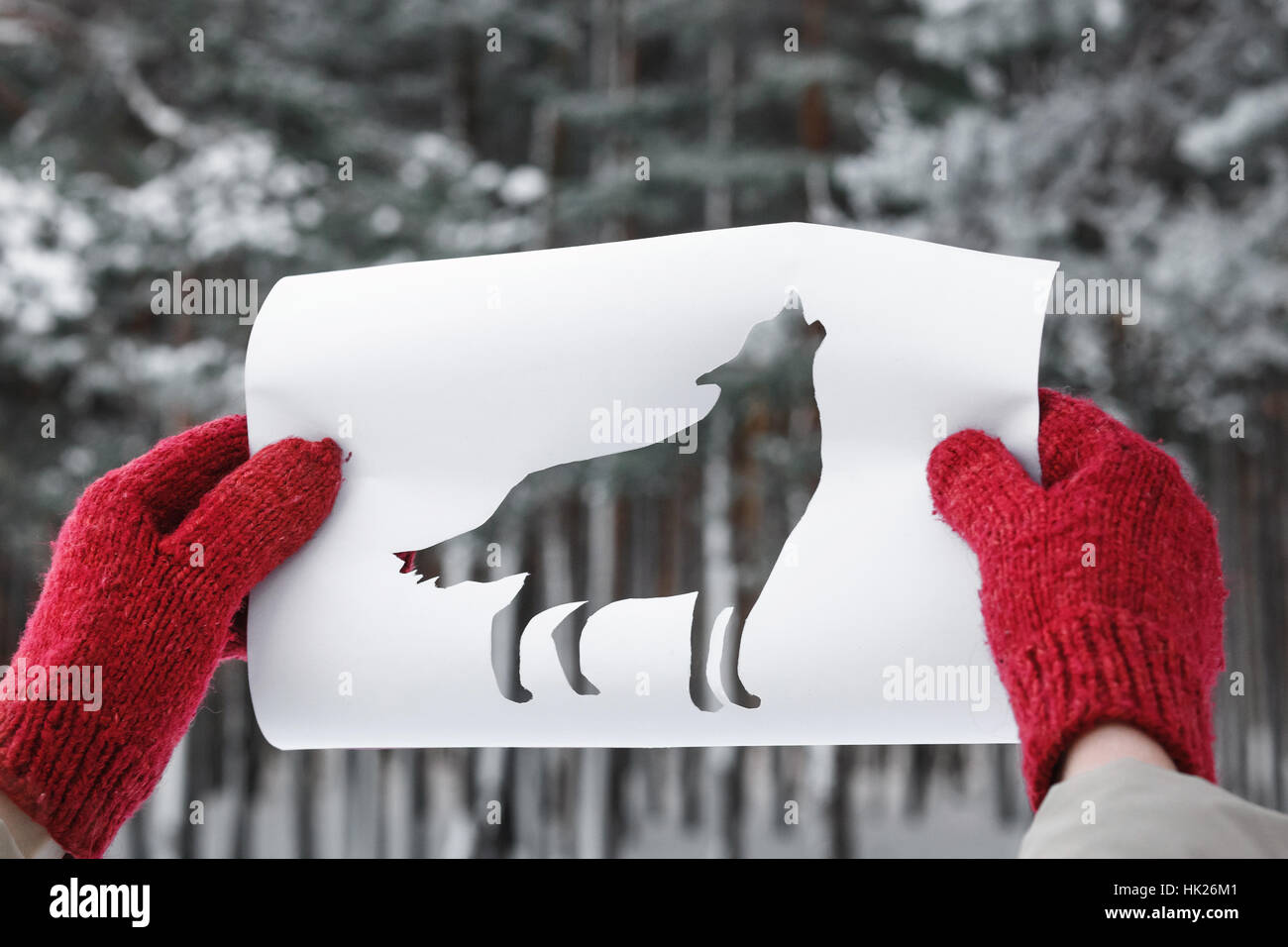 Wolf cut out hi-res stock photography and images - Alamy