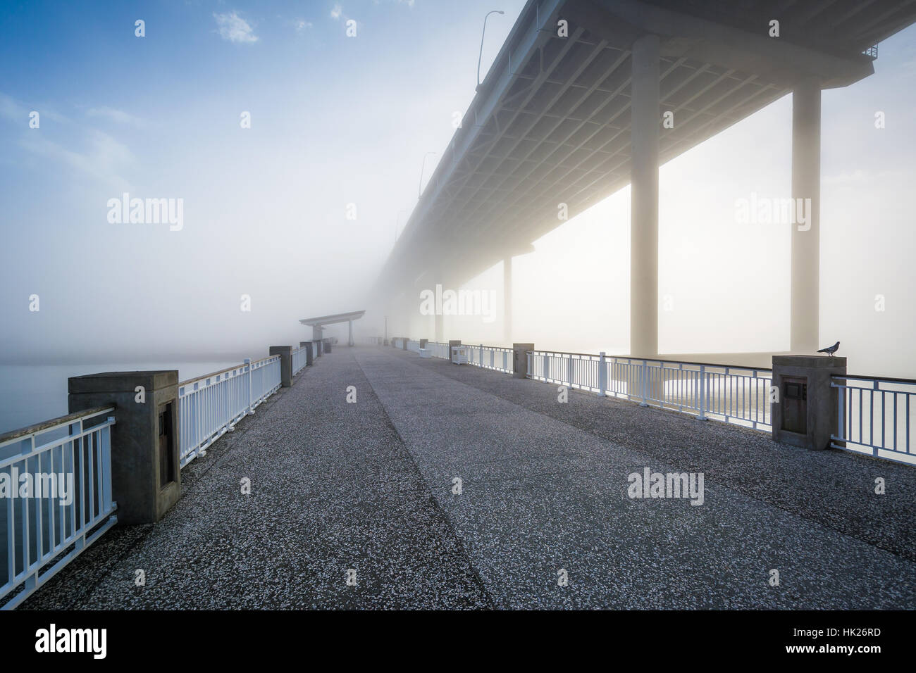 The Mount Pleasant Pier and Arthur Ravenel Bridge, in Charleston, South ...