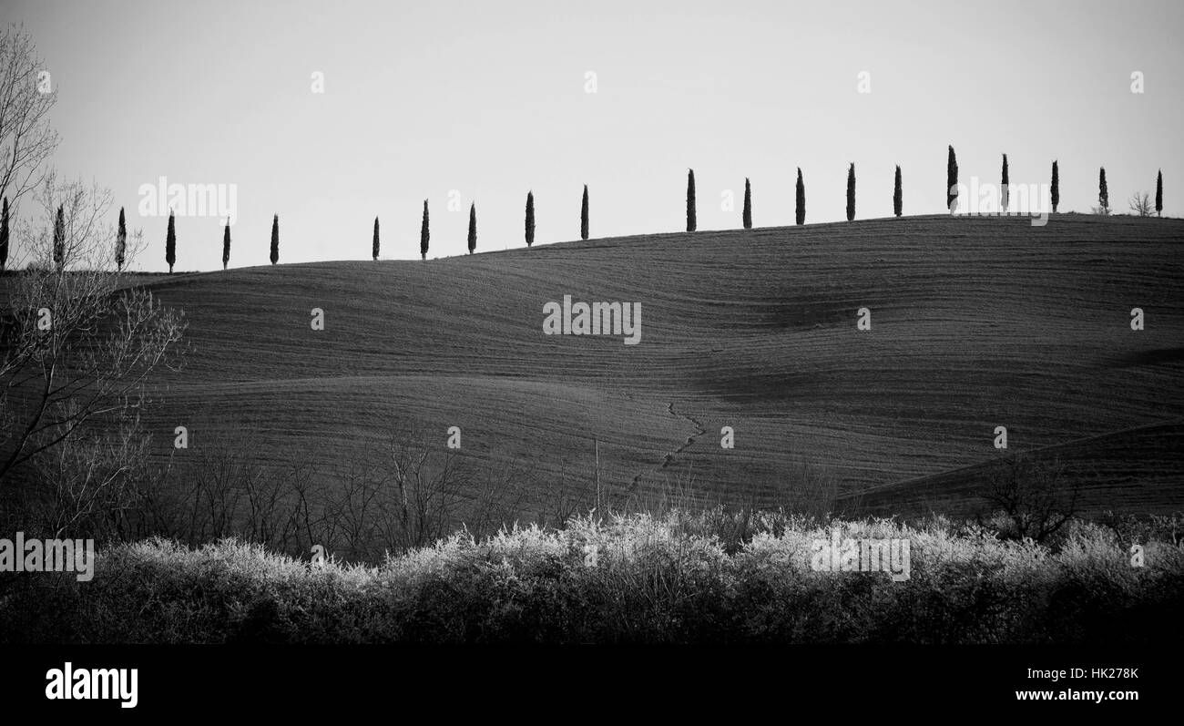 Landscape in tuscany sunset Black and White Stock Photos & Images - Alamy