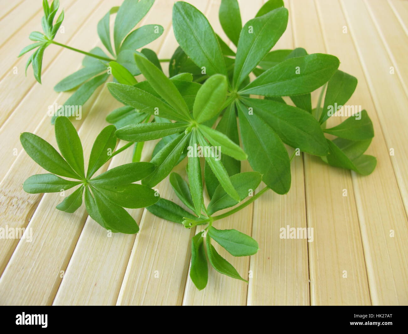 Kruter sammeln hi-res stock photography and images - Alamy