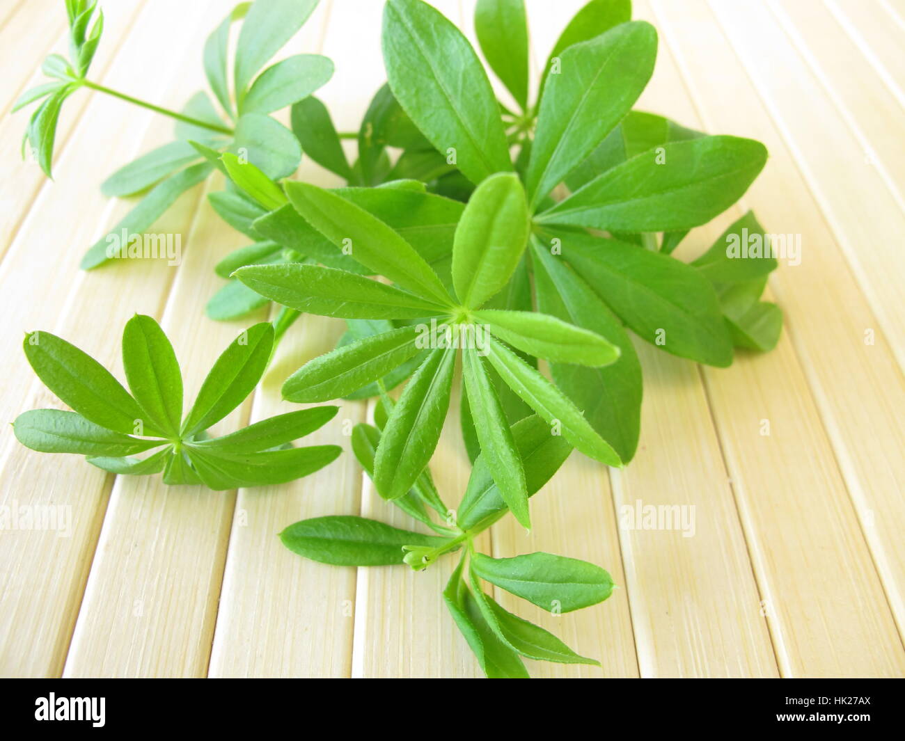 flavour, collected, woodruff, herbs, green, flavour, collected ...