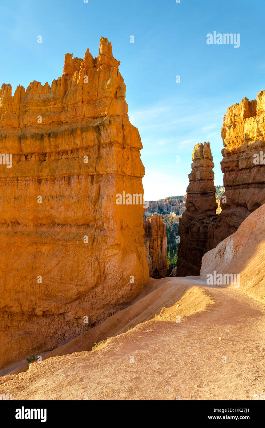 environment, enviroment, tree, sunrise, america, plateau, environment ...