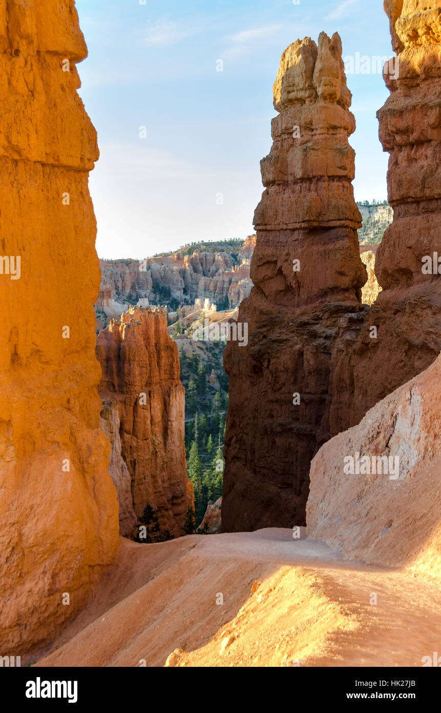 environment, enviroment, tree, sunrise, america, plateau, environment ...