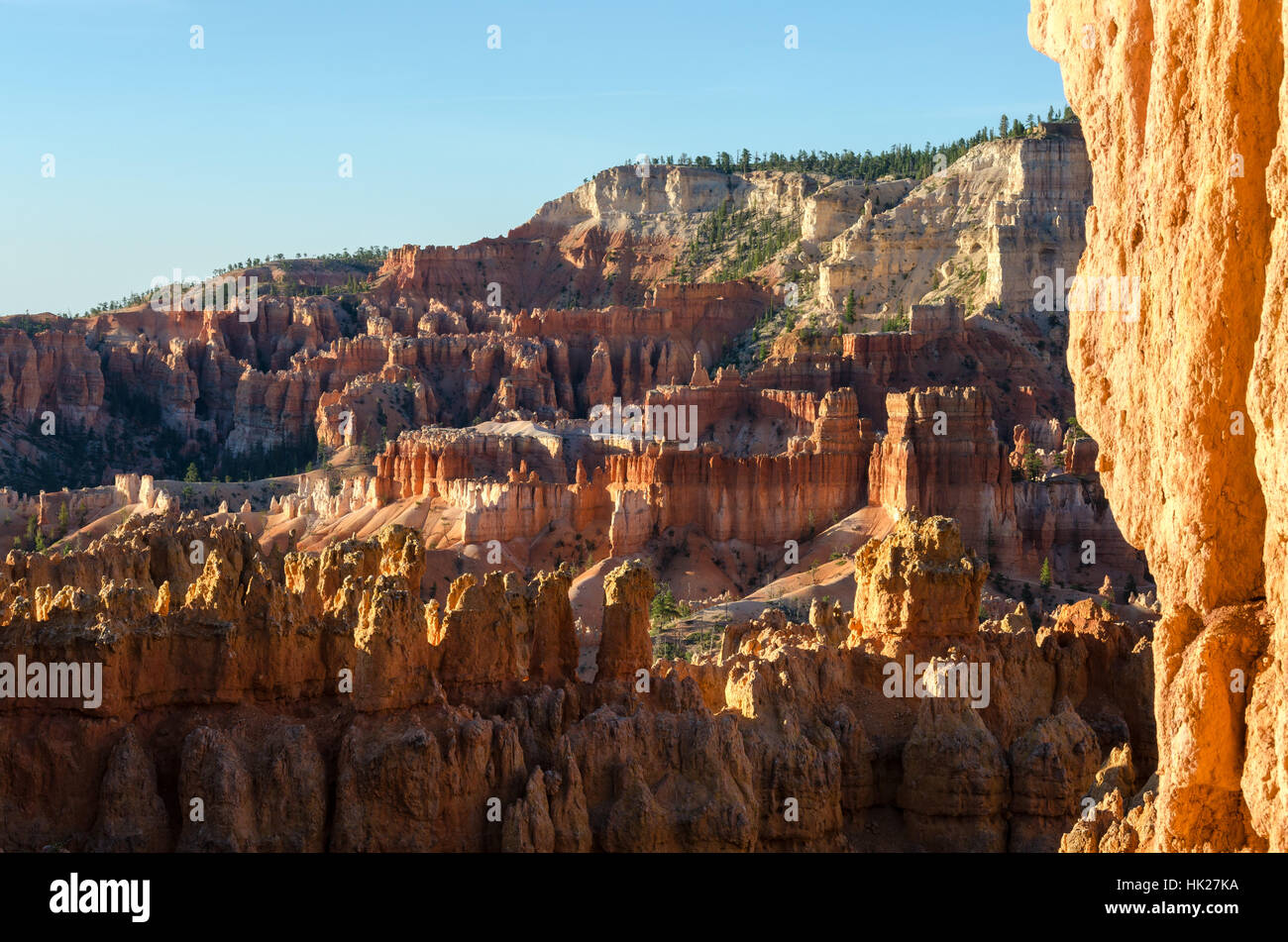 environment, enviroment, tree, sunrise, america, plateau, environment ...