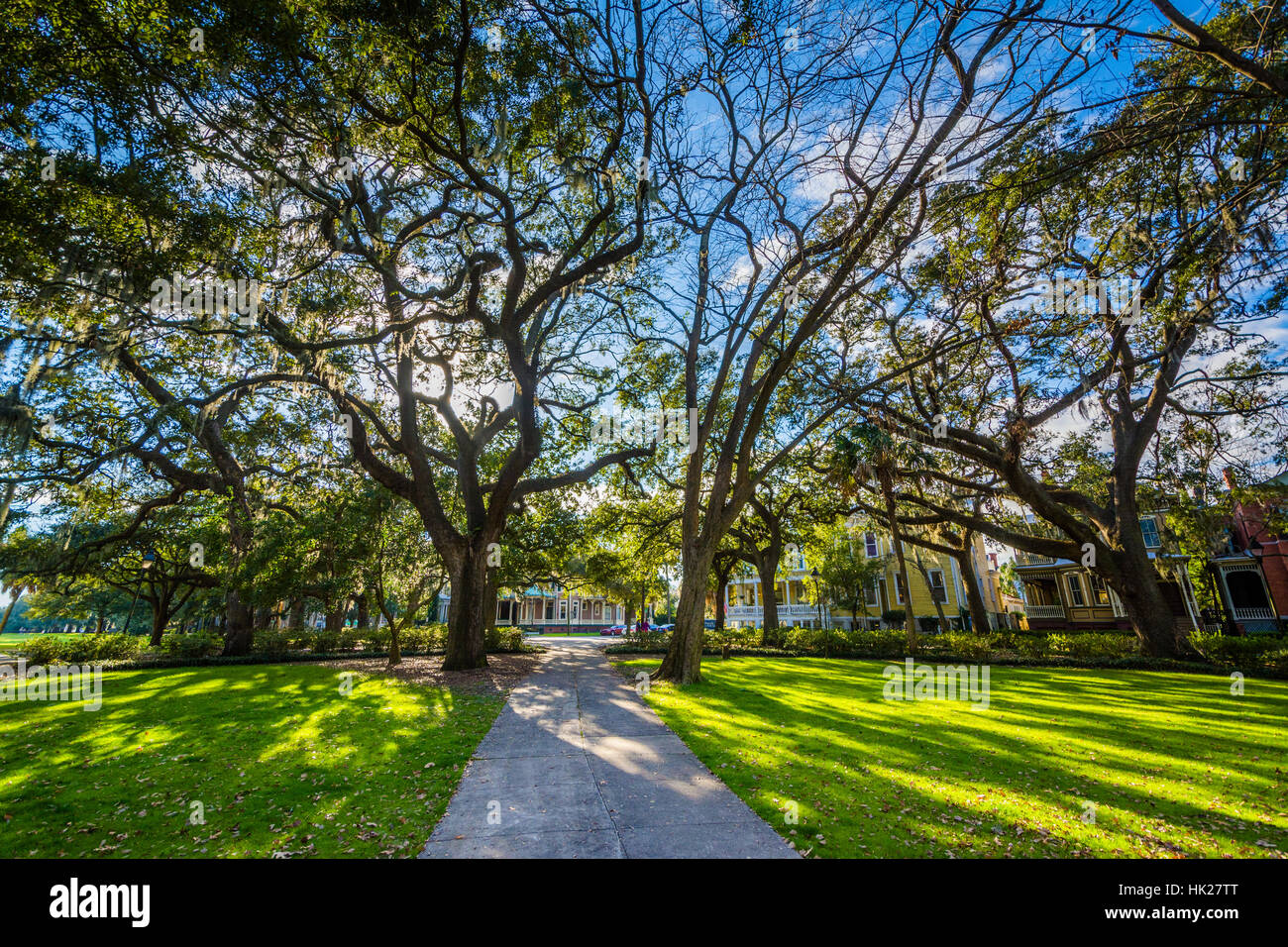 Walkway and trees with Spanish moss, at Forsyth Park, in Savannah ...