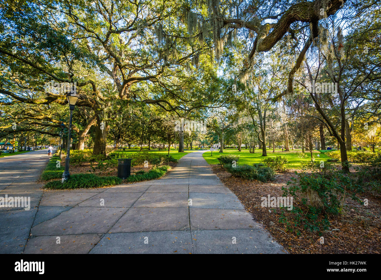 Walkway and trees with Spanish moss, at Forsyth Park, in Savannah ...