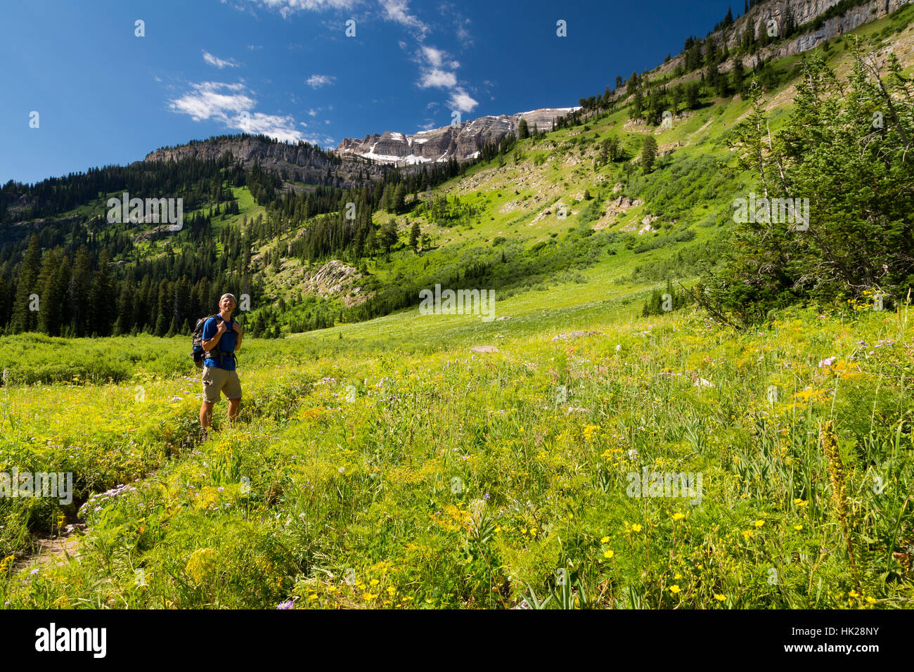 A hiker pausing along the Alaska Basin Trail in Teton Canyon in a ...