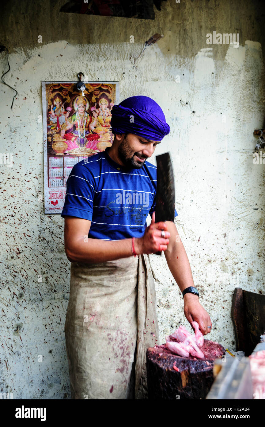 Sikh Butcher cutting a chicken, Keylong, Himachal Pradesh, India Stock ...